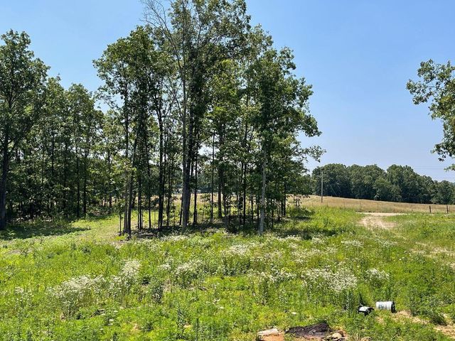 Mountain View, MO Homes For Sale & Real Estate