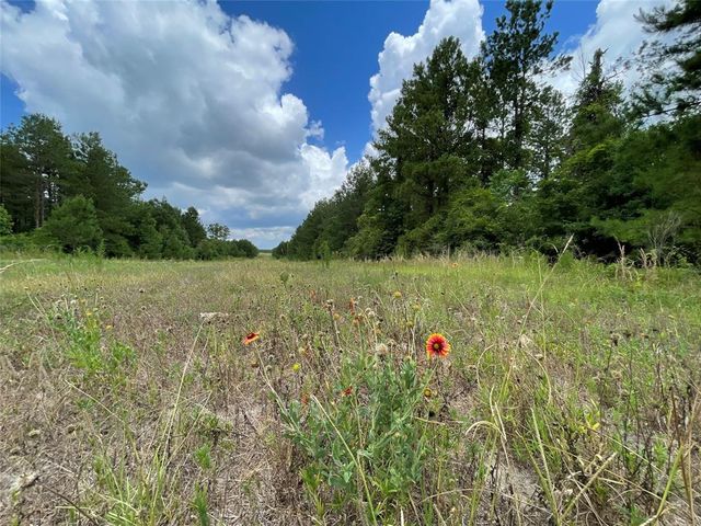 2853 Kickapoo Rd, Groveton, TX 75845 | MLS# 68376257 | Trulia