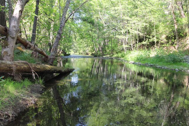 Williams, OR Homes For Sale & Williams, OR Real Estate | Trulia