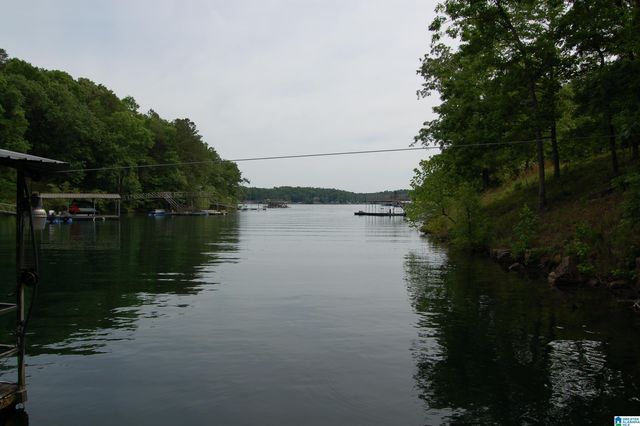 Lewis Smith Lake, AL Homes For Sale & Lewis Smith Lake, AL Real Estate ...