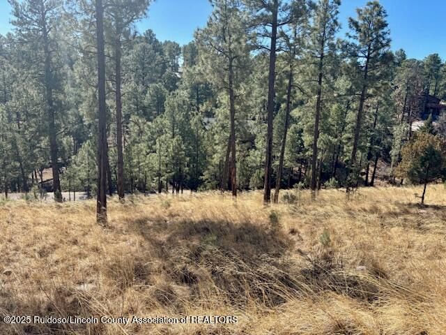 Alto, NM Homes For Sale & Real Estate