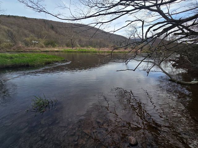 Walton, NY Homes For Sale & Walton, NY Real Estate | Trulia