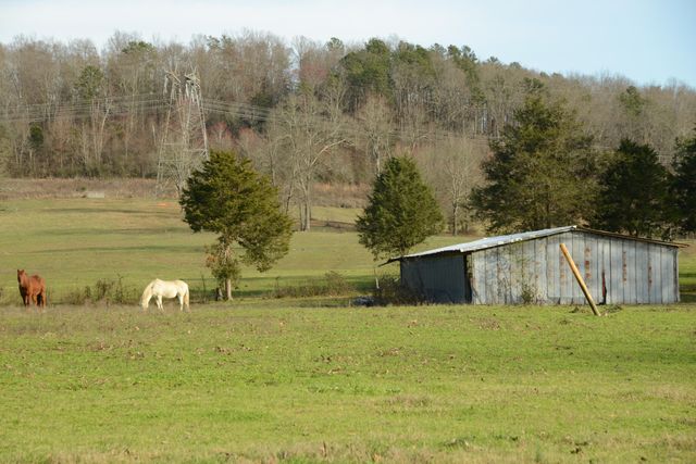 Harrison, TN Homes For Sale & Harrison, TN Real Estate | Trulia