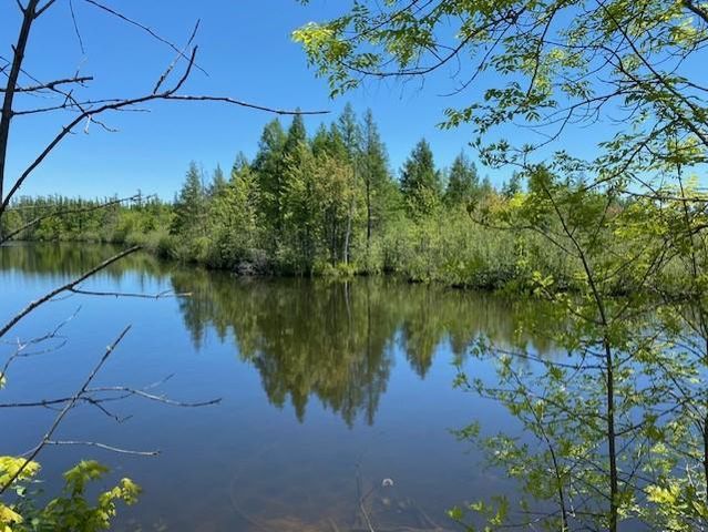 Rib Lake, WI Homes For Sale & Rib Lake, WI Real Estate | Trulia