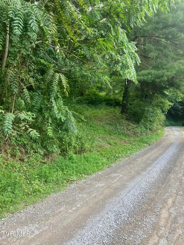 Dryden, VA Homes For Sale & Real Estate