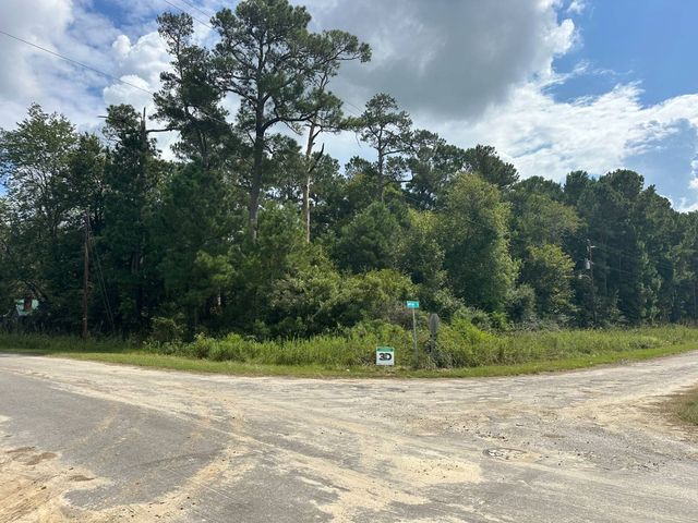 Mullins, SC Homes For Sale & Real Estate