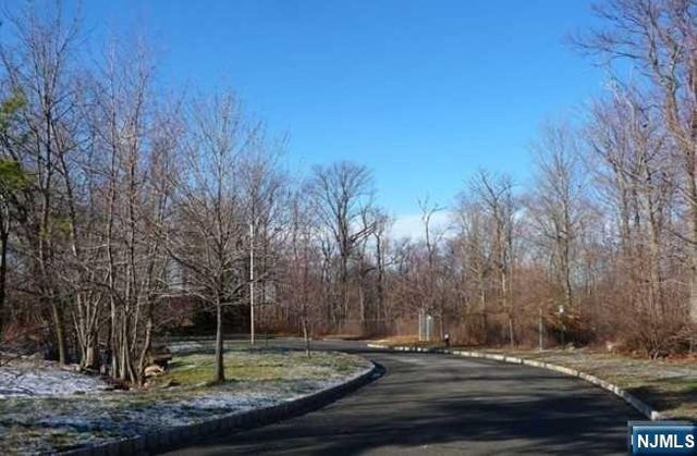 Alpine, NJ Homes For Sale & Real Estate