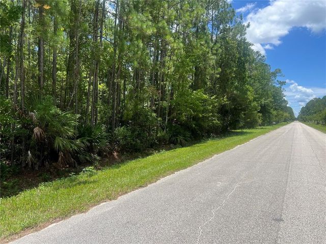 Bunnell, FL Homes For Sale & Bunnell, FL Real Estate | Trulia