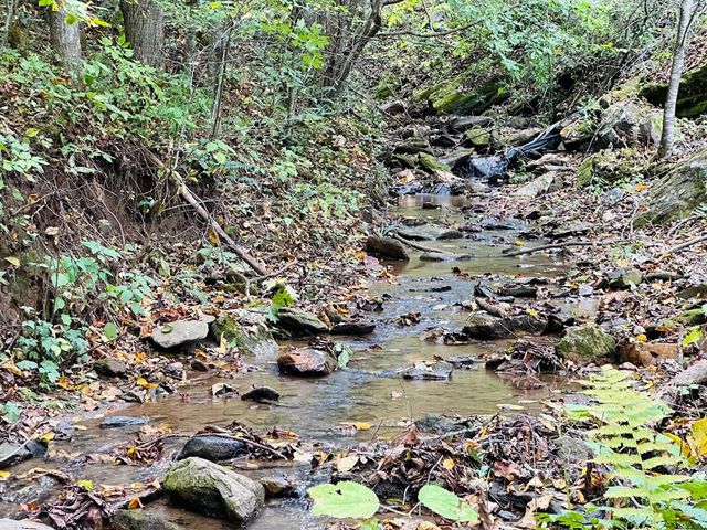 Fancy Gap, VA Homes For Sale & Real Estate