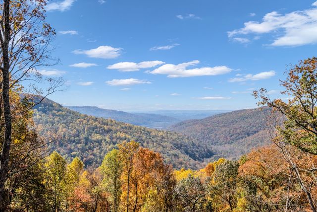 Monterey, TN Homes For Sale & Monterey, TN Real Estate | Trulia