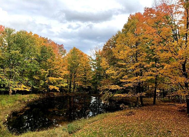 Exeter, ME Homes For Sale & Exeter, ME Real Estate | Trulia