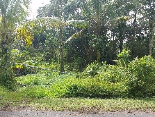 16-2124 Anthurium Dr #60, Pahoa, HI 96778 - See Est. Value, Schools & More