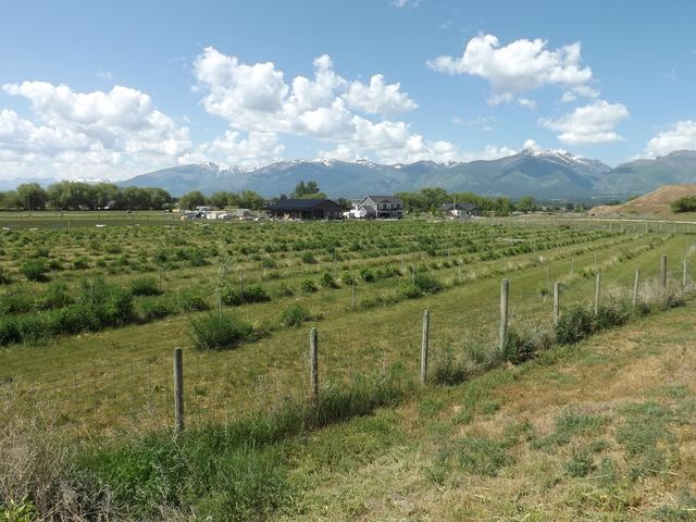 Corvallis, MT Homes For Sale & Corvallis, MT Real Estate | Trulia