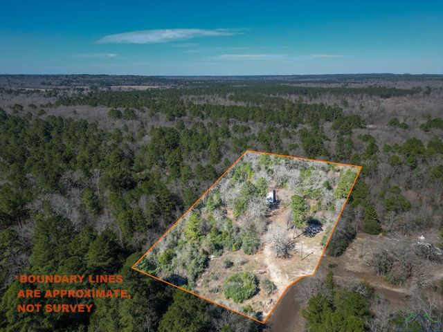 Big Sandy, TX Homes For Sale & Real Estate