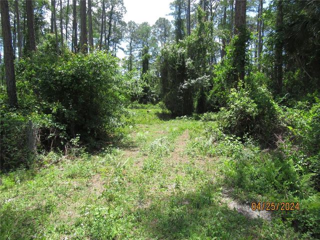 Bunnell, FL Homes For Sale & Bunnell, FL Real Estate | Trulia