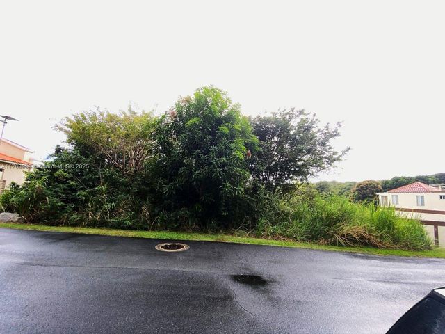 Palmas del Mar, Humacao, PR Homes For Sale & Palmas del Mar, Humacao ...