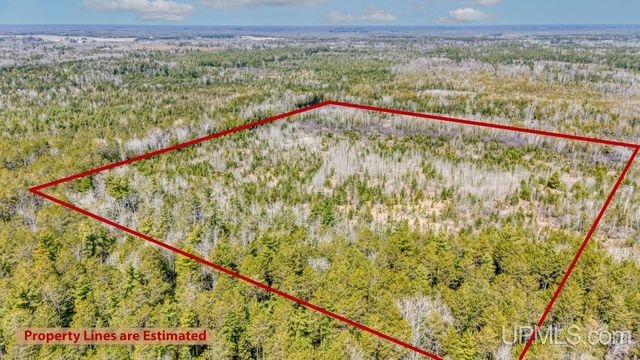 Escanaba, MI Homes For Sale & Real Estate