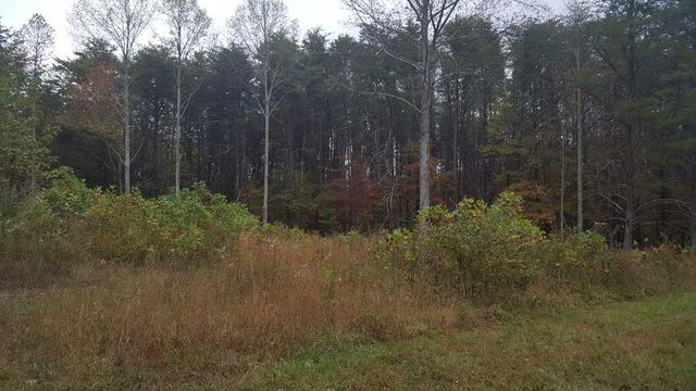 Mooneyham lonewood Rd, Spencer, TN 38585 - See Est. Value, Schools & More