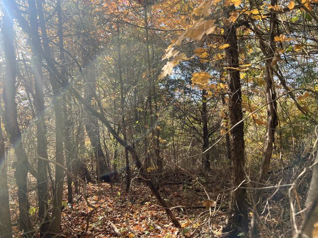 Tennessee Ridge, TN Homes For Sale & Tennessee Ridge, TN Real Estate ...