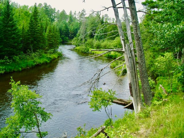 Grayling, MI Homes For Sale & Real Estate