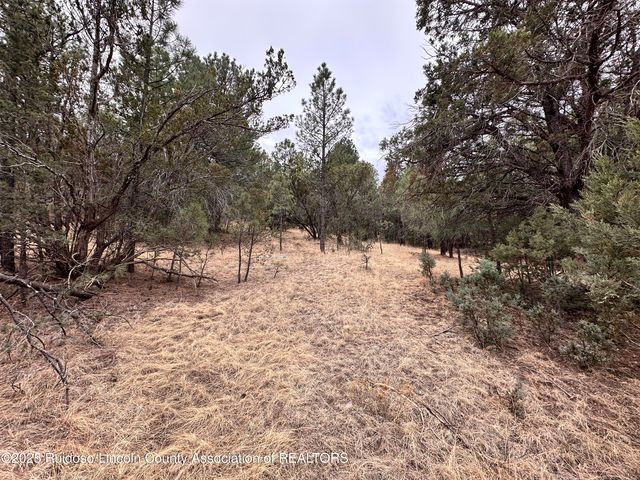 Alto, NM Homes For Sale & Real Estate