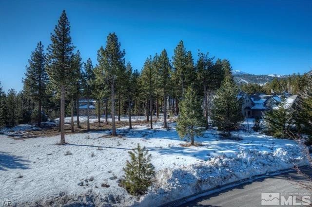 Reno, NV Homes For Sale & Reno, NV Real Estate | Trulia