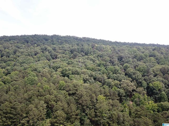 Leeds, AL Homes For Sale & Real Estate