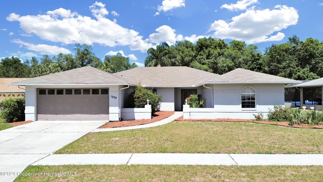 Spring Hill, FL Homes For Sale & Spring Hill, FL Real Estate | Trulia