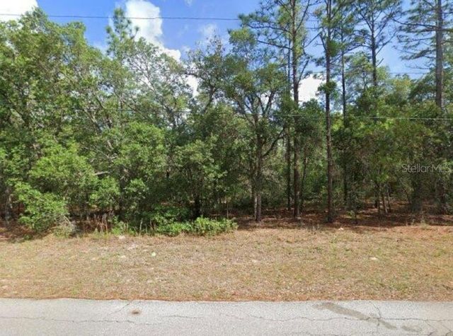 Lecanto, FL Homes For Sale & Real Estate