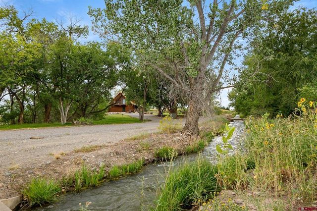 Olathe, CO Homes For Sale & Real Estate