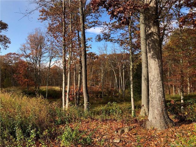 Newtown, CT Homes For Sale & Newtown, CT Real Estate | Trulia