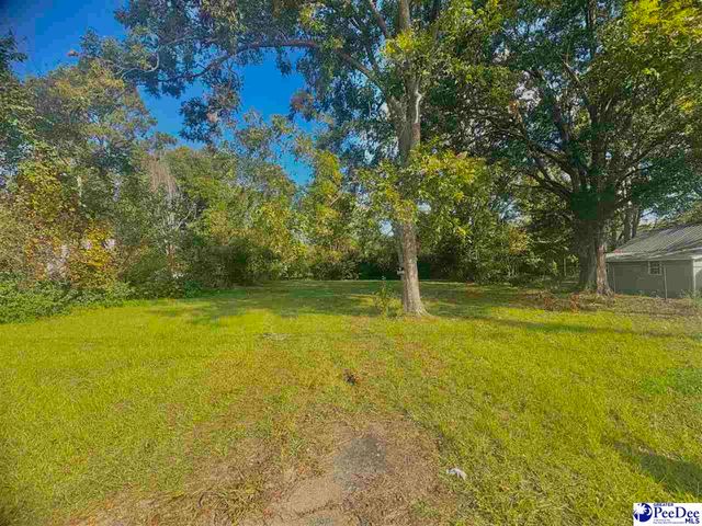 Marion, SC Homes For Sale & Real Estate