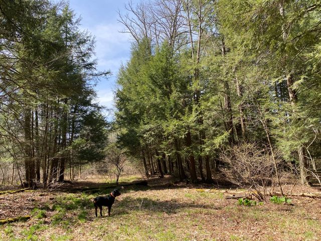 Westover, PA Homes For Sale & Westover, PA Real Estate | Trulia