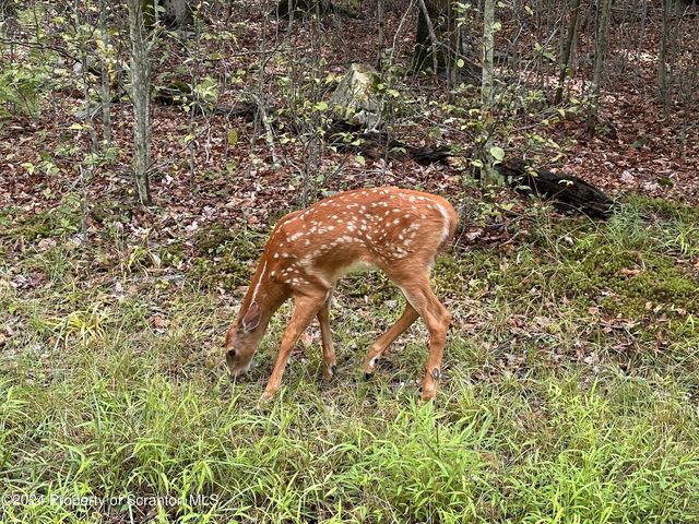 18444 Homes For Sale & 18444 Real Estate | Trulia