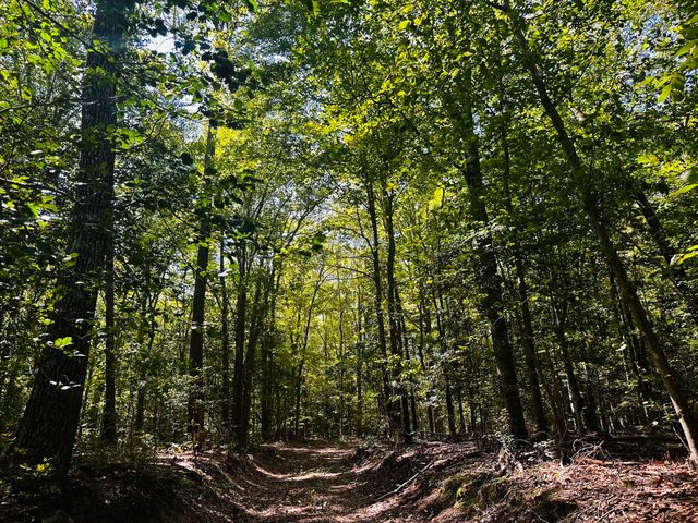 Gloucester, VA Homes For Sale & Real Estate