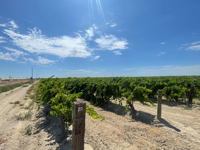 Kerman, CA Homes For Sale & Real Estate