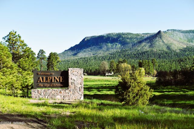 Alpine, AZ Homes For Sale & Alpine, AZ Real Estate | Trulia