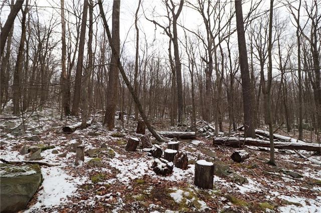 Rector, PA Homes For Sale & Rector, PA Real Estate | Trulia