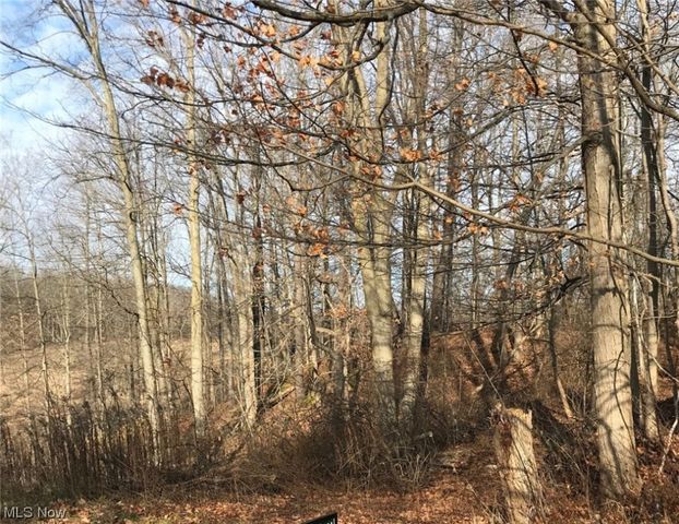 Solon, OH Homes For Sale & Solon, OH Real Estate | Trulia