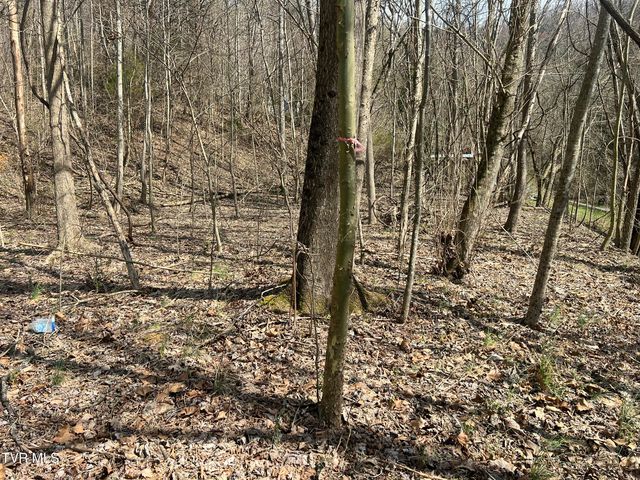 Elizabethton, TN Homes For Sale & Real Estate - 127 Homes | Trulia