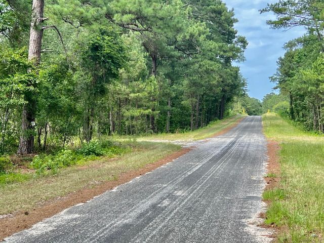 Bowman, SC Homes For Sale & Bowman, SC Real Estate | Trulia