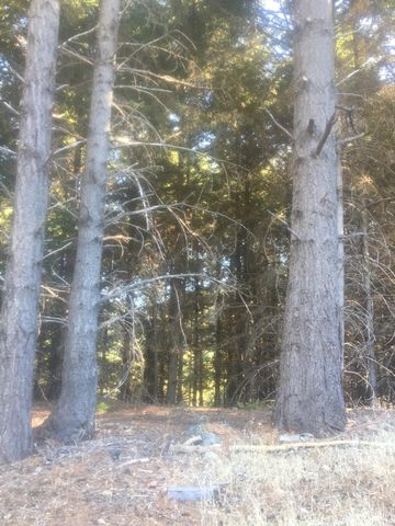 Whitethorn, CA Homes For Sale & Real Estate