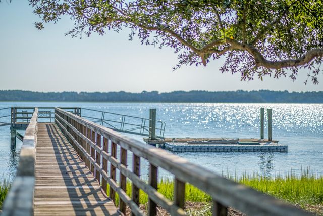 Daniel Island, Charleston, SC Homes For Sale & Daniel Island ...