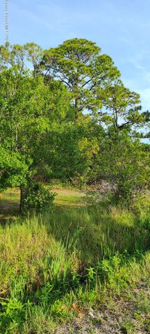 Malabar, FL Homes For Sale & Malabar, FL Real Estate | Trulia