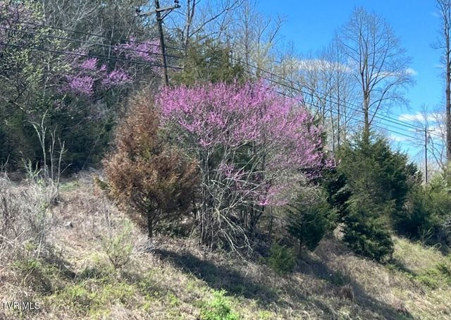 Dryden, VA Homes For Sale & Dryden, VA Real Estate | Trulia