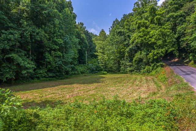 Mohawk, TN Homes For Sale & Mohawk, TN Real Estate | Trulia