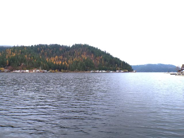 Loon Lake, WA Homes For Sale & Real Estate