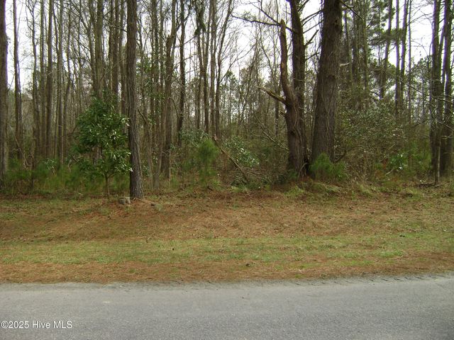 Columbia, NC Homes For Sale & Real Estate