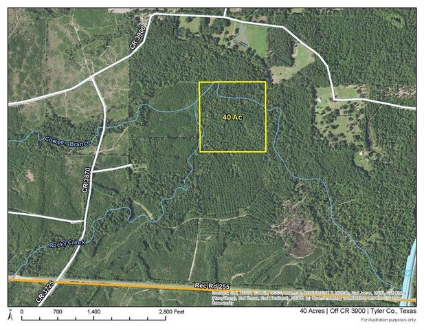 Colmesneil, TX Homes For Sale & Colmesneil, TX Real Estate | Trulia