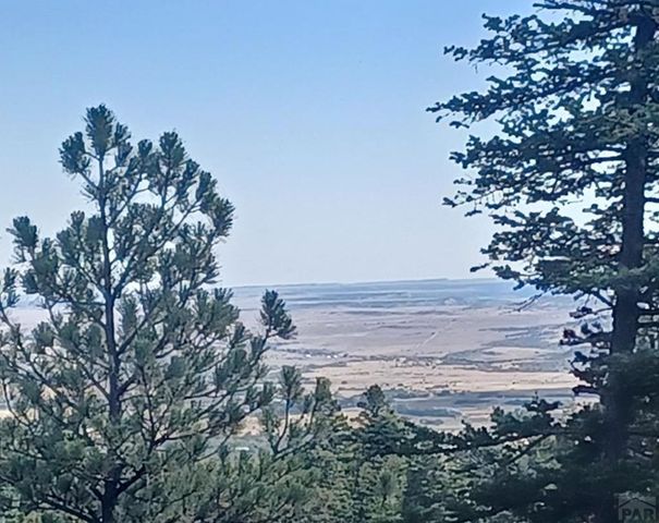 Rye, CO Homes For Sale & Real Estate